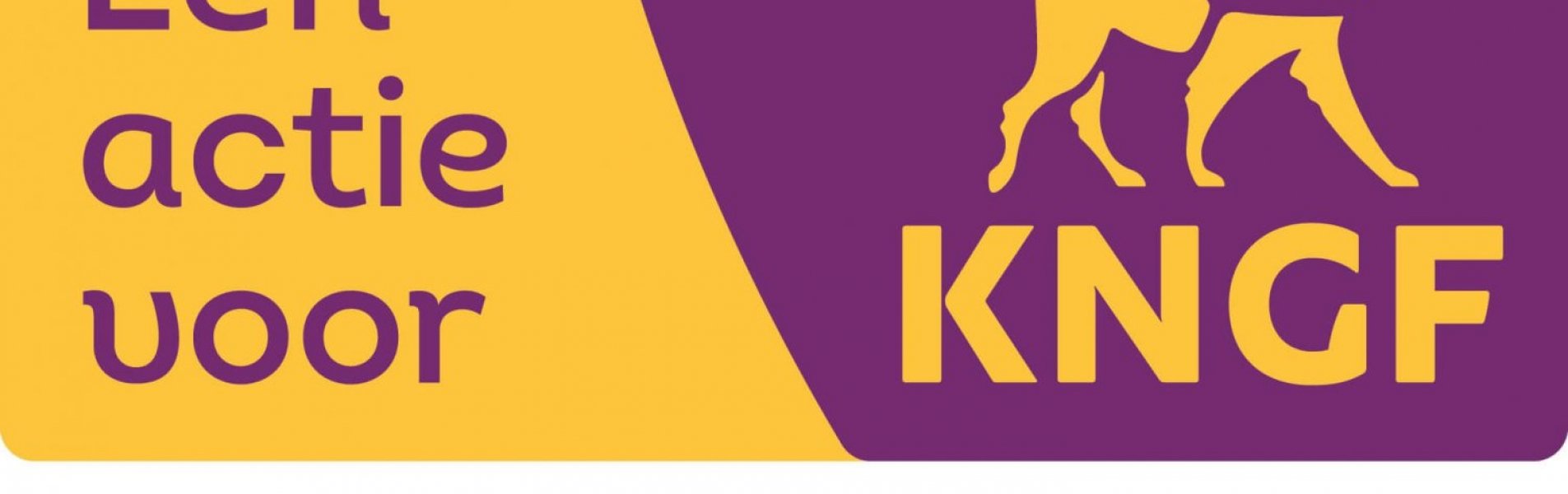 KNGF: Impact van de assistentiehonden | Markteffect